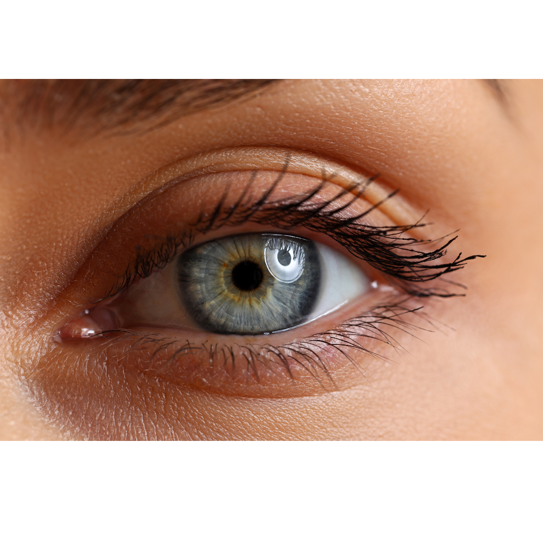 The Integral Role of Vision in Our Lives and the Holistic Approach of ...